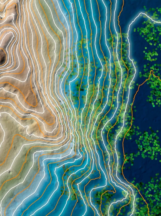 SIMUT – Servicio integrales de mapeo